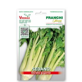 Listna Zelenjava Franchi Sementi Zelena Velika Rumena Vxo 124/19 ...