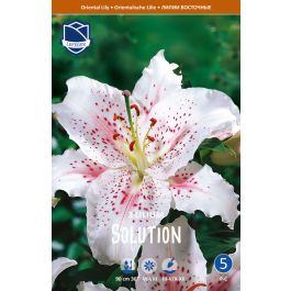 L Lilija Solution - Merkur.si