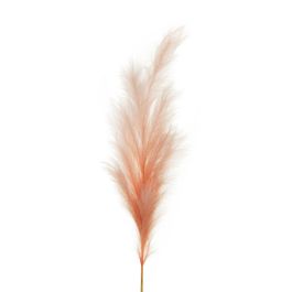 Umetno Cvetje Evergreens Pampaška Trava Losos 140 Cm - Merkur.si